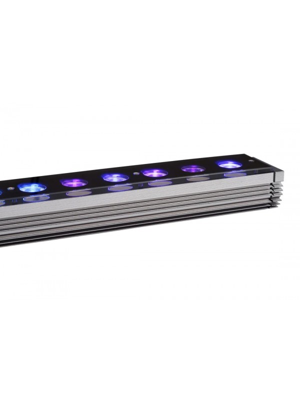 Macallum Ocean Enterprise - Penang Aquarium & Pet Accessories and Pet Food