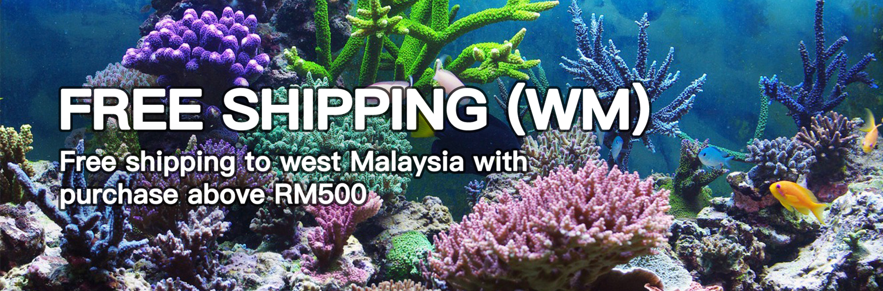 Macallum Ocean Enterprise - Penang Aquarium & Pet Accessories and Pet Food